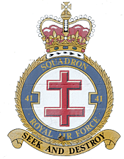 41 Squadron: Seek and Destroy
