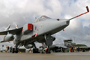 41 Squadron: Seek and Destroy